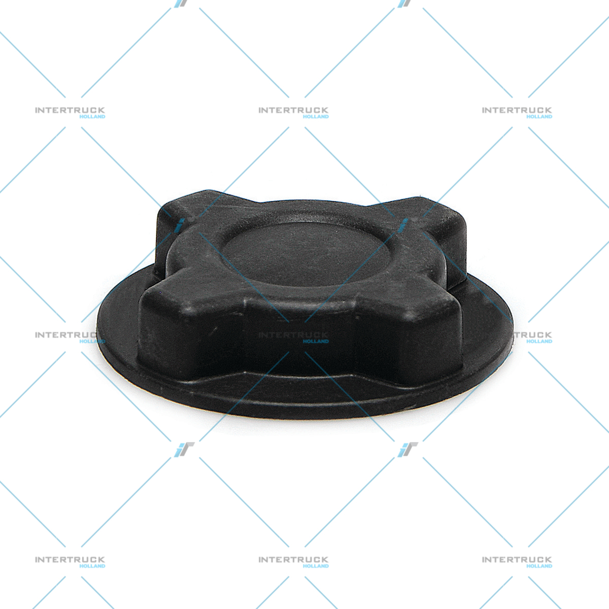 CS01756 Expansion Tank Cap, Radiator | Product Details | Intertruck